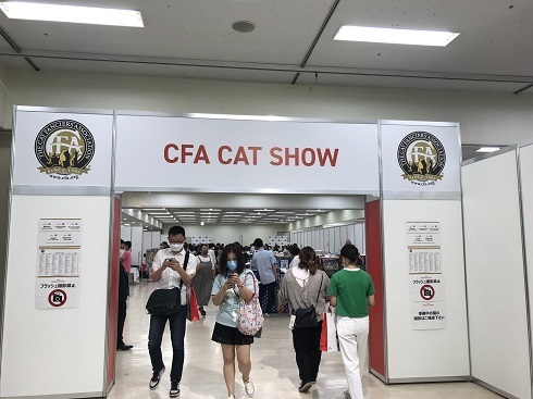JAPAN CAT SHOWに行ってきました: ヘタレ王子と気まぐれ王子のお世話日記part2